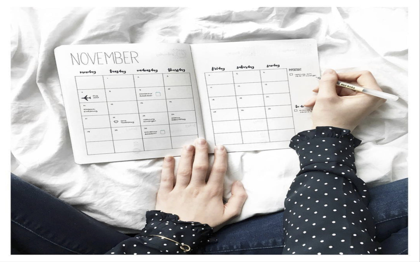 BuJo Show and Tell With @journalspiration - Bullet Journal