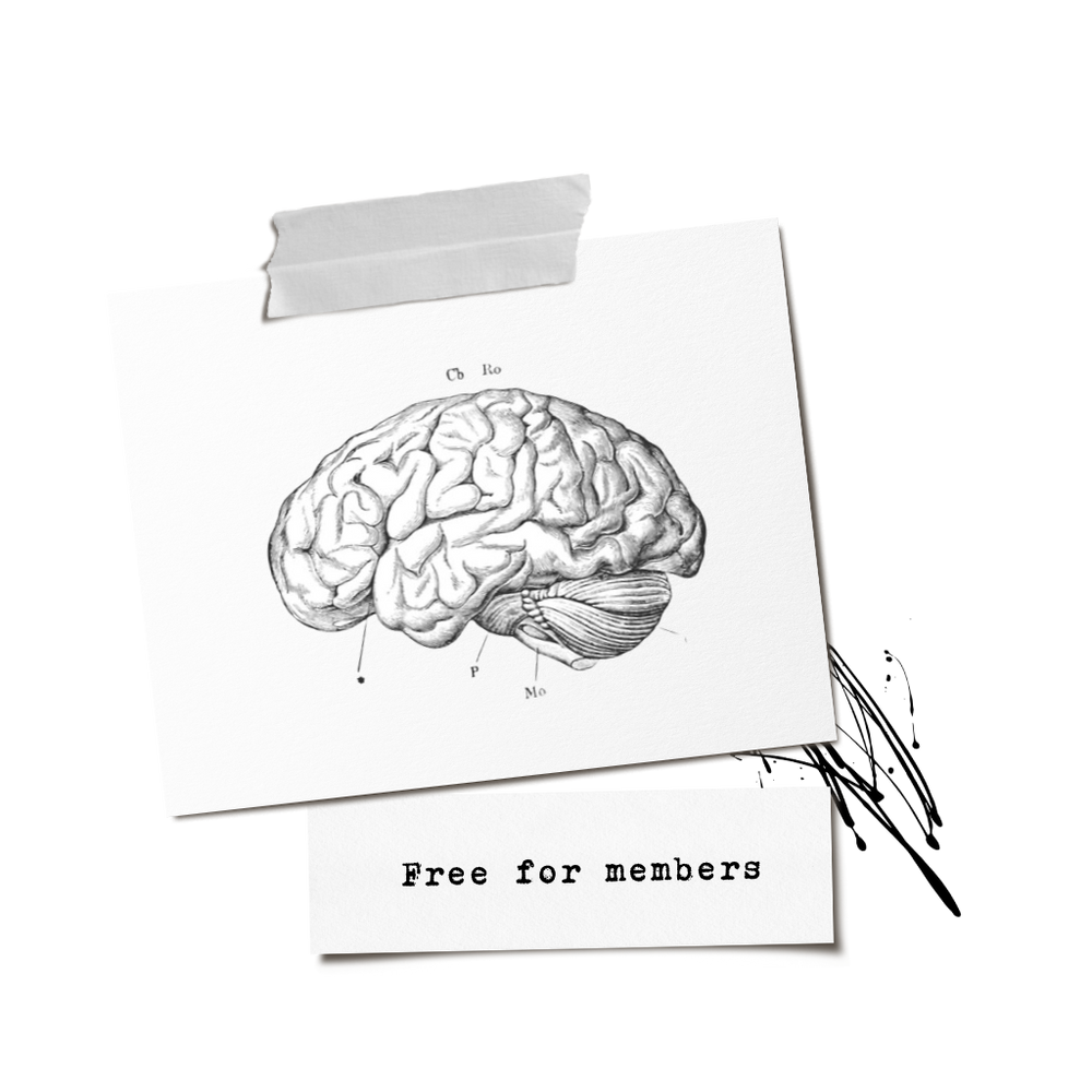 Thank You For Your Purchase - Bullet Journal