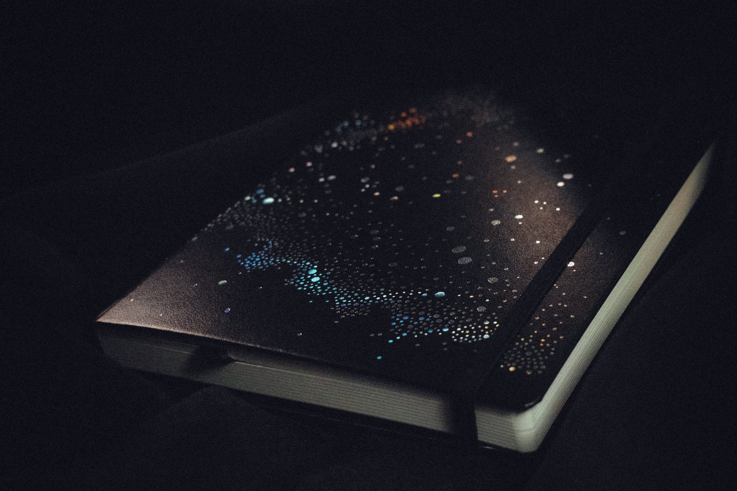 Artist Edition 2024 - Bullet Journal